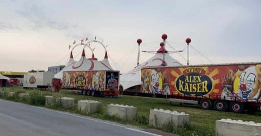 Circus Alex Kaiser kommt auf die Wiese beim Südpark